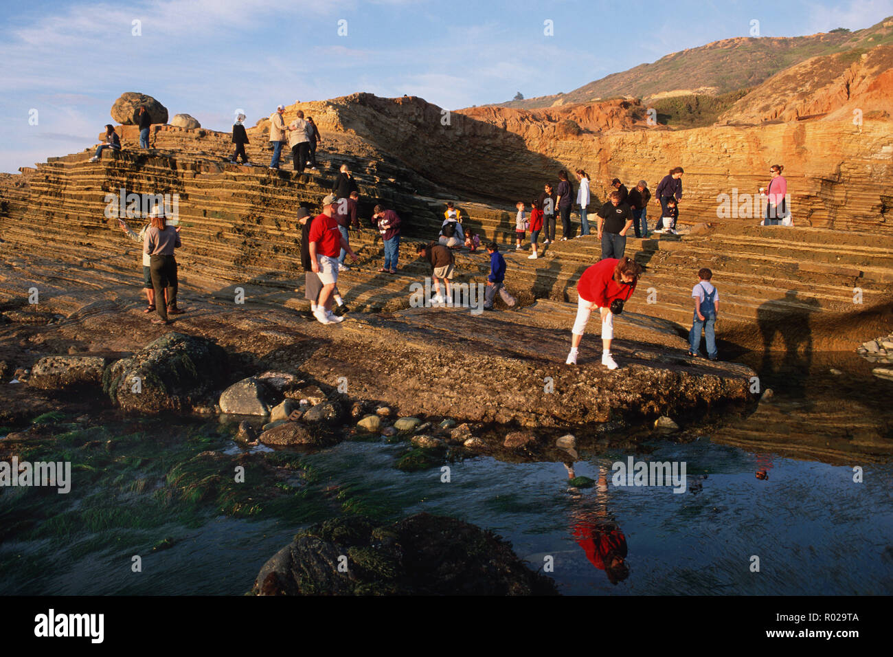 The area exposed at low tide and underwater at high tide is the ...