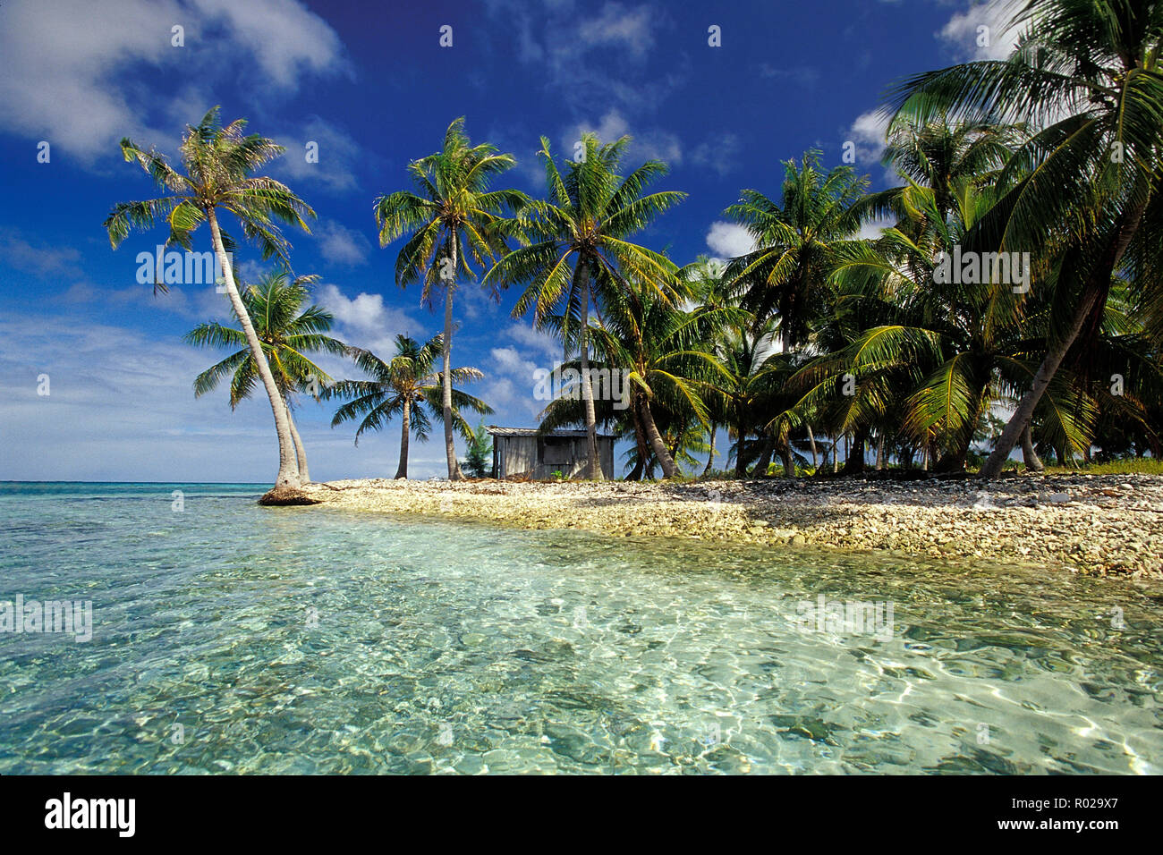 Rangiroa, French Polynesia, Pacific Ocean Stock Photo - Alamy