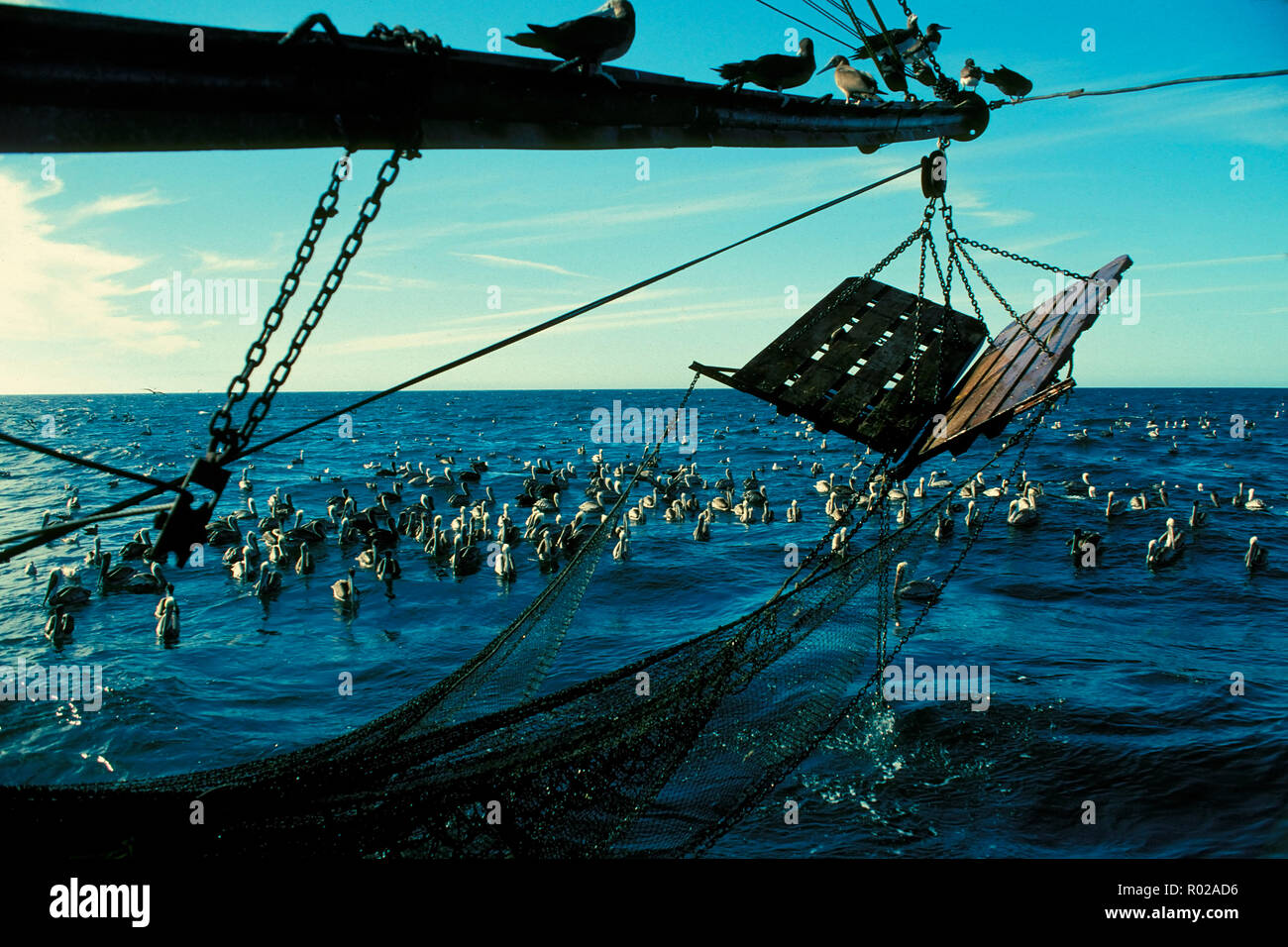 Bottom trawl hi-res stock photography and images - Alamy