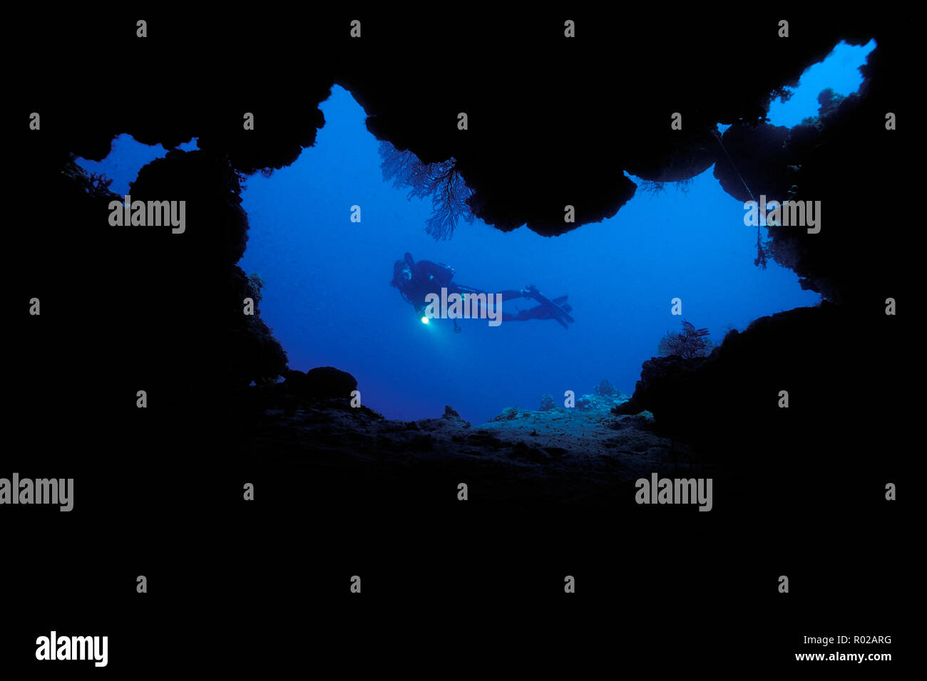 Scuba diver and cave, Fiji, Pacific Ocean Stock Photo - Alamy