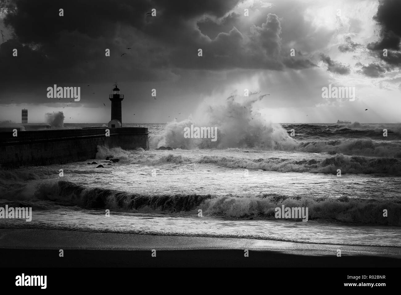 Beach during storm Black and White Stock Photos & Images - Alamy