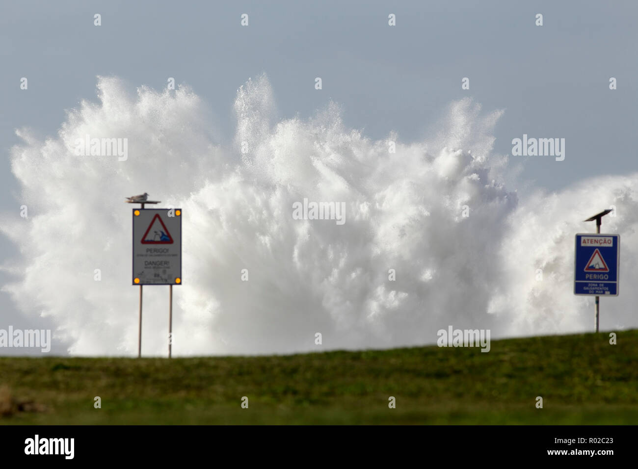Dangerous big wave splash seeing warning signs. Northern portuguese ...
