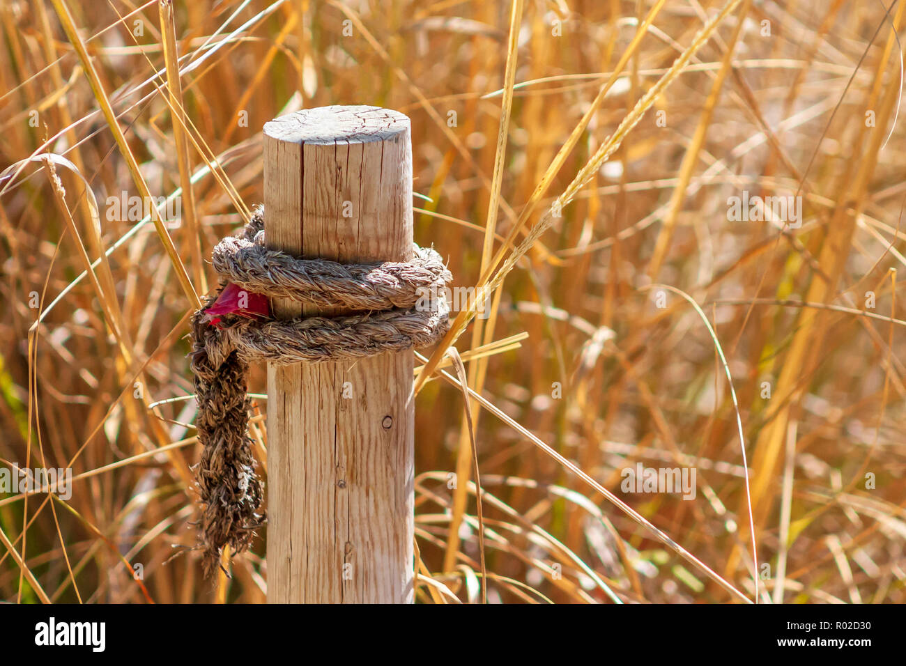 Wooden pole with rope Stock Photo - Alamy