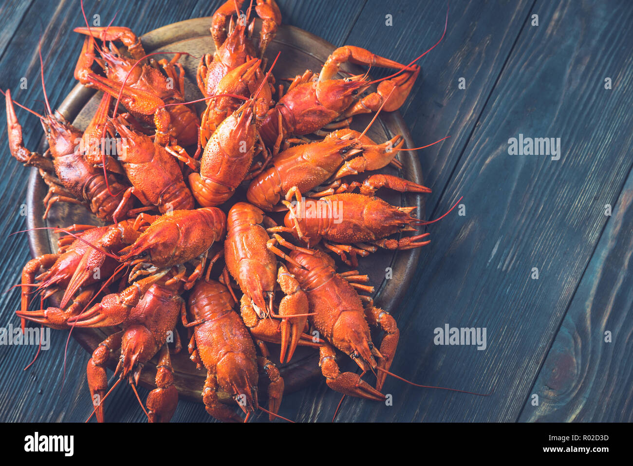 Lobster top view hi-res stock photography and images - Alamy