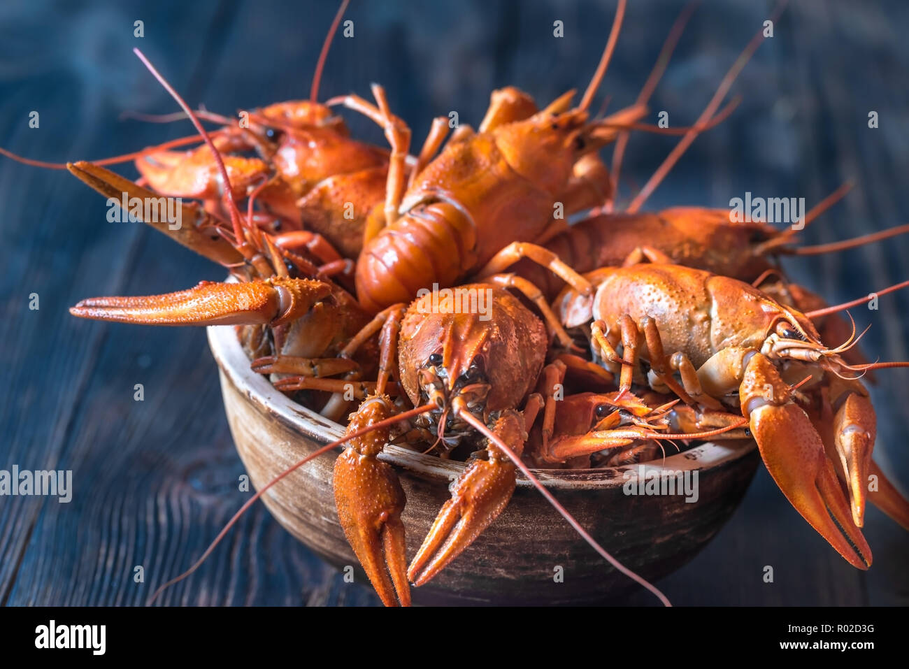 Close up whole cooked crayfish hi-res stock photography and images - Alamy