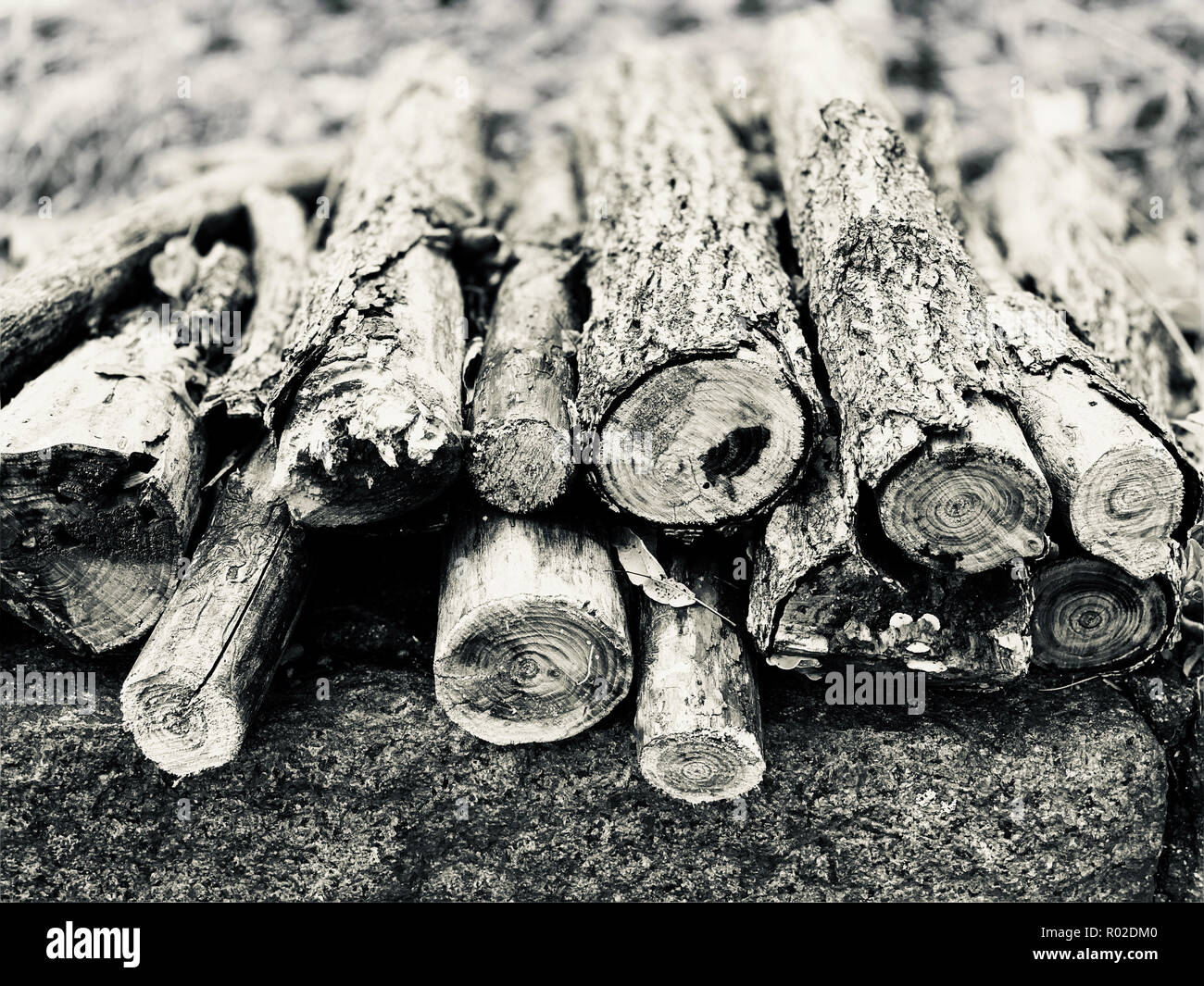 Logging cabin hi-res stock photography and images - Alamy