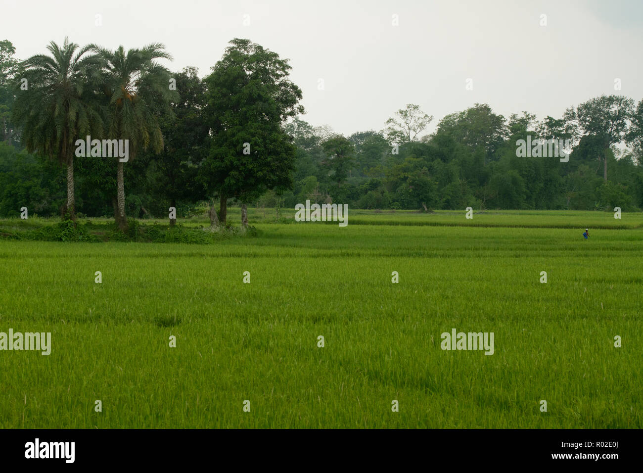 National wildlife sanctuary hi-res stock photography and images - Alamy