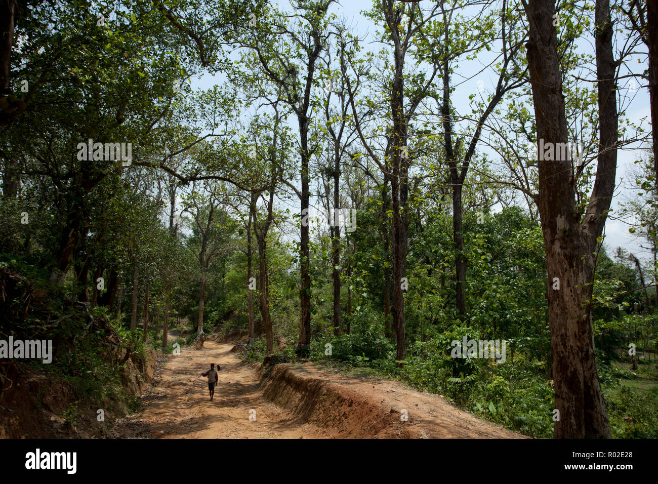 Rema kalenga wildlife sanctuary hi-res stock photography and images - Alamy