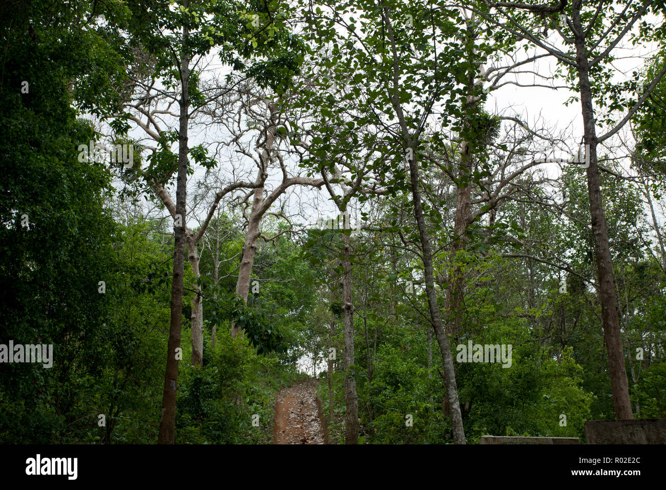 Bangladesh vari hi-res stock photography and images - Alamy