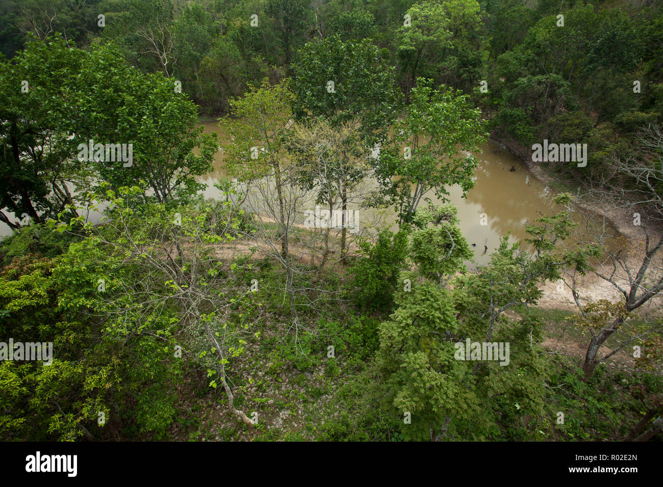 Rema kalenga bangladesh hi-res stock photography and images - Alamy