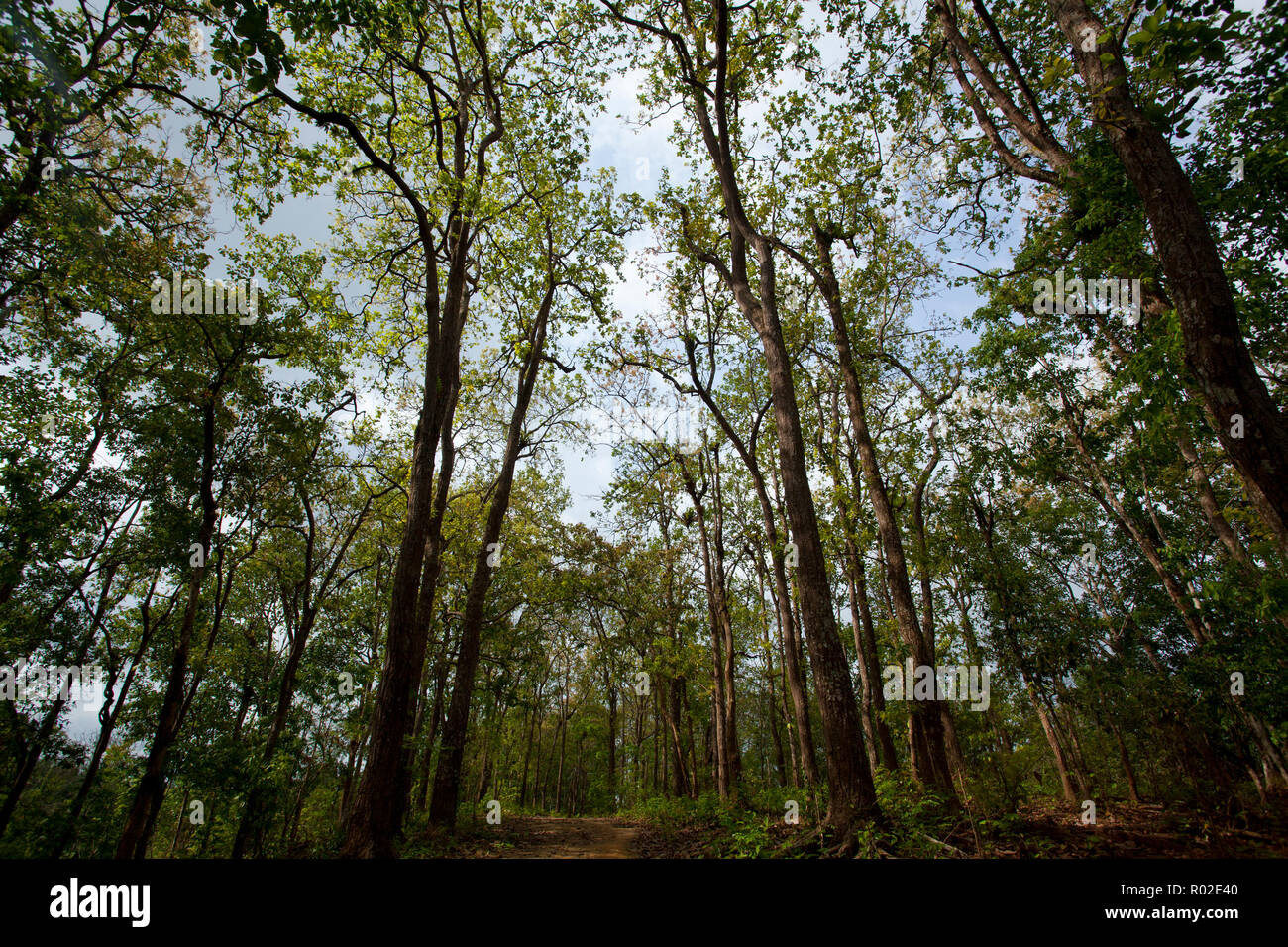 Rema kalenga wildlife sanctuary hi-res stock photography and images - Alamy