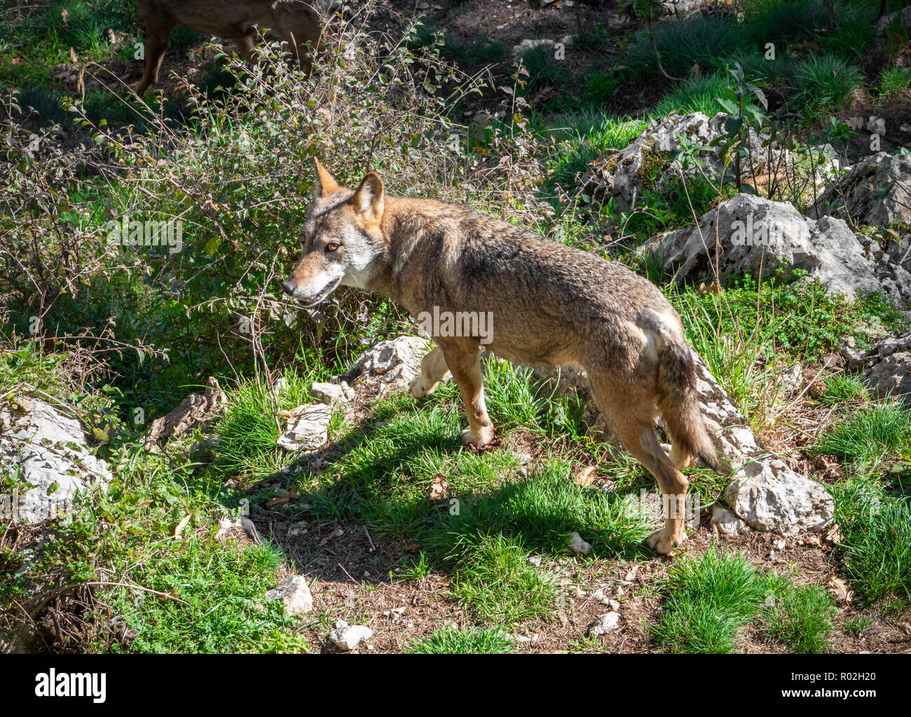 National Park of Abruzzo, Lazio and Molise (Italy) - The autumn in the ...