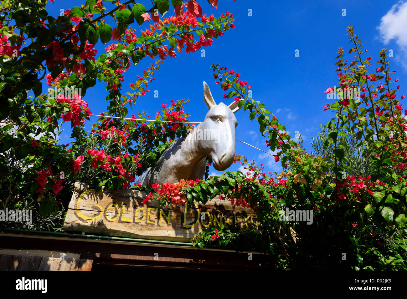 Skarinou village hi-res stock photography and images - Alamy
