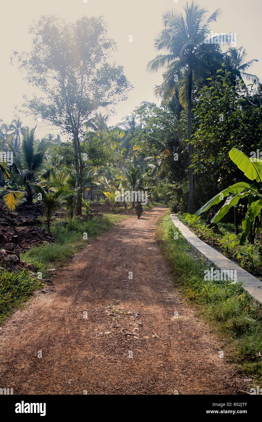 Sudra hi-res stock photography and images - Alamy