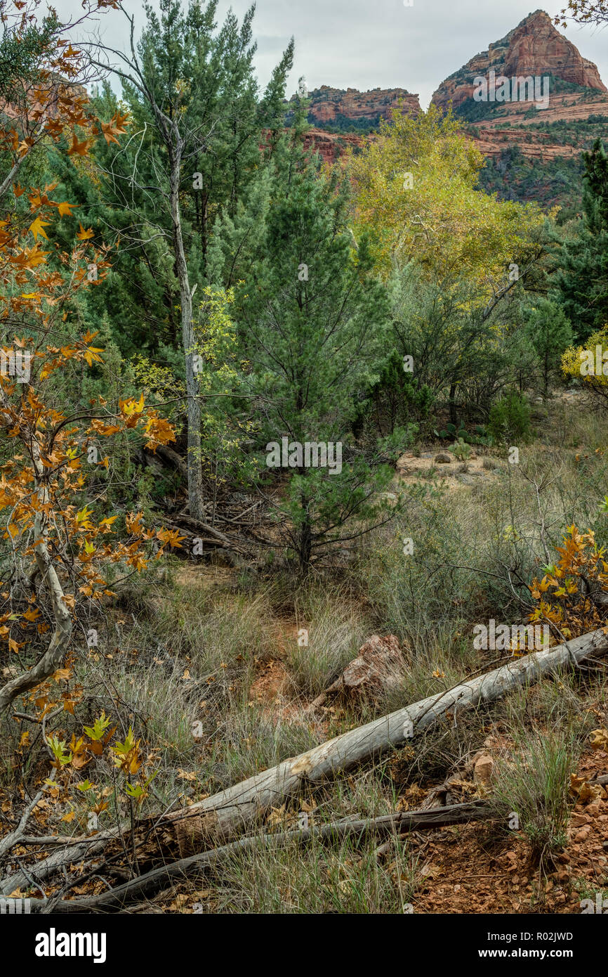 Cplors hi-res stock photography and images - Alamy