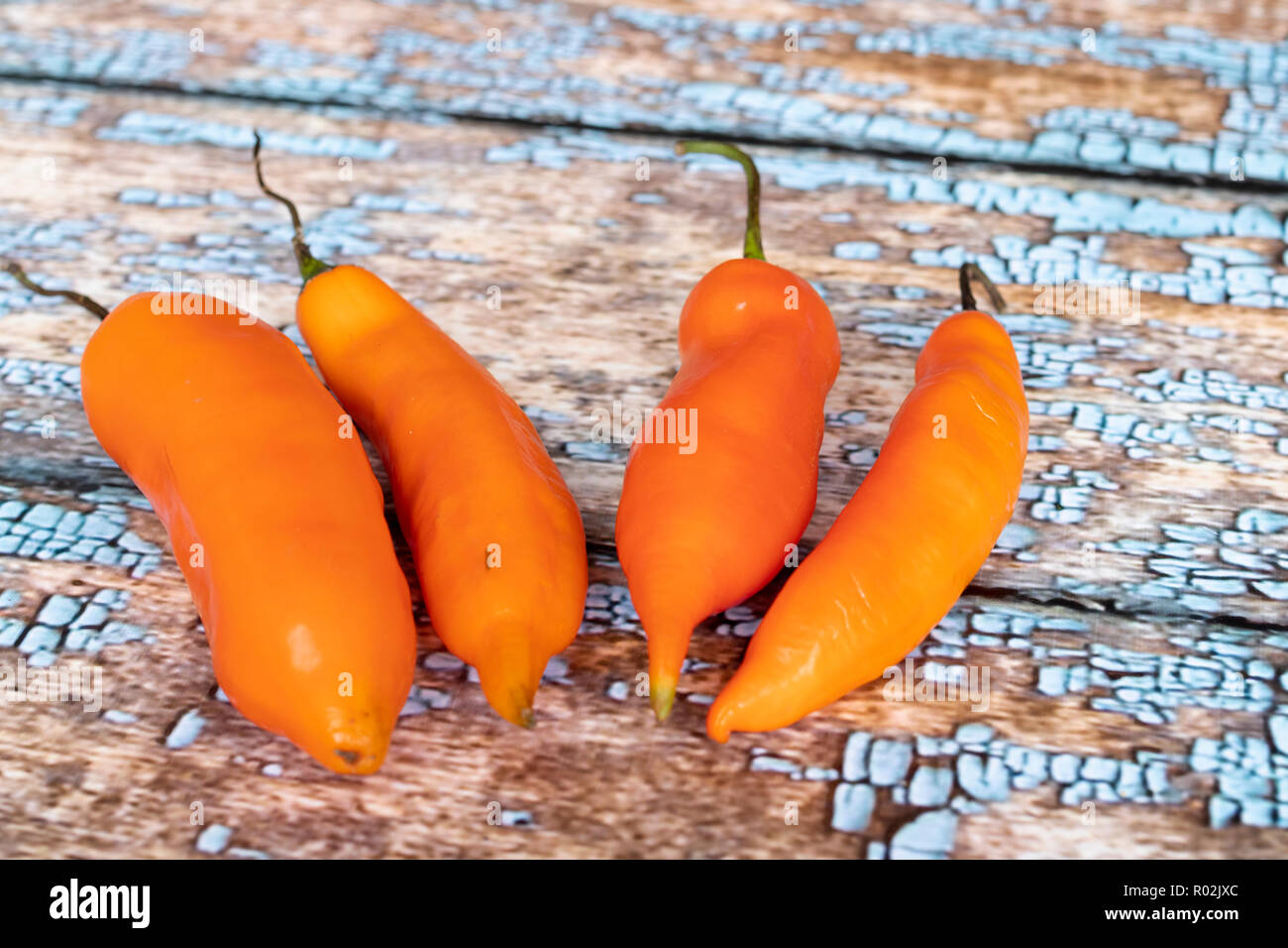 Peruvian pepper hi-res stock photography and images - Alamy