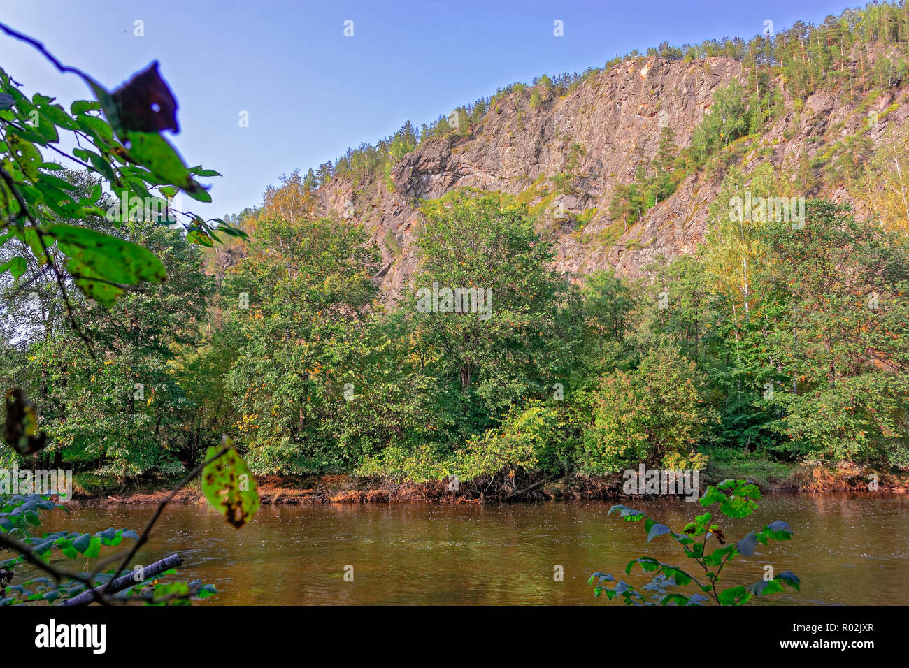 Autumn landscape with multi-colored leaves of trees reflected in a ...