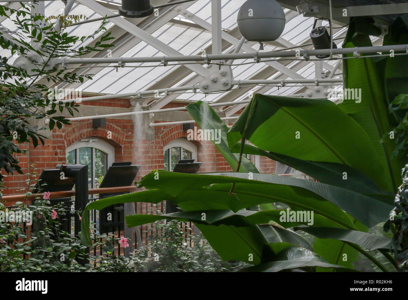 Plants and misting system in the Tropical Ravine, Botanic Gardens ...
