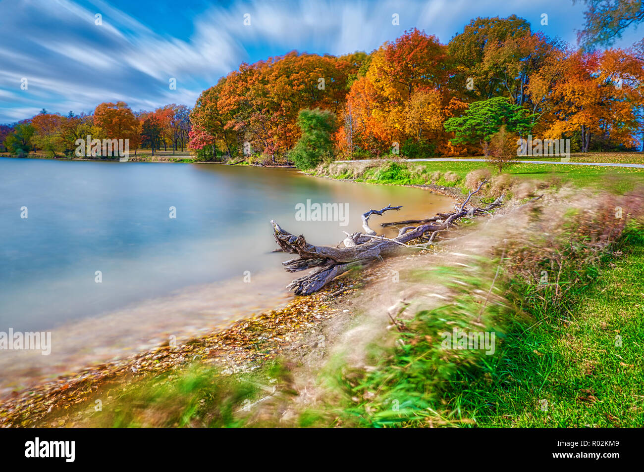 Windy day at the park Stock Photo - Alamy