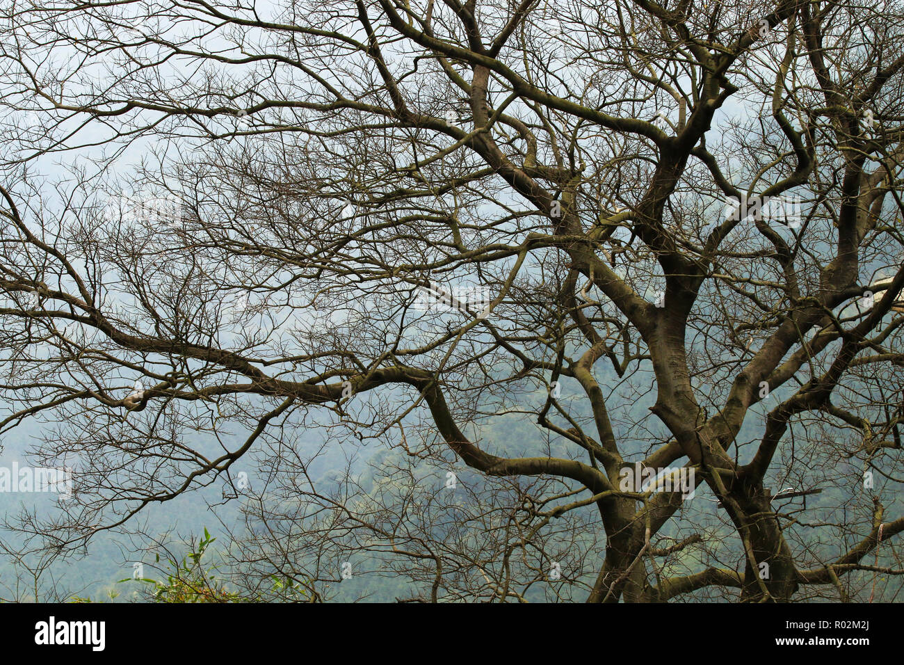 No canopy hi-res stock photography and images - Alamy