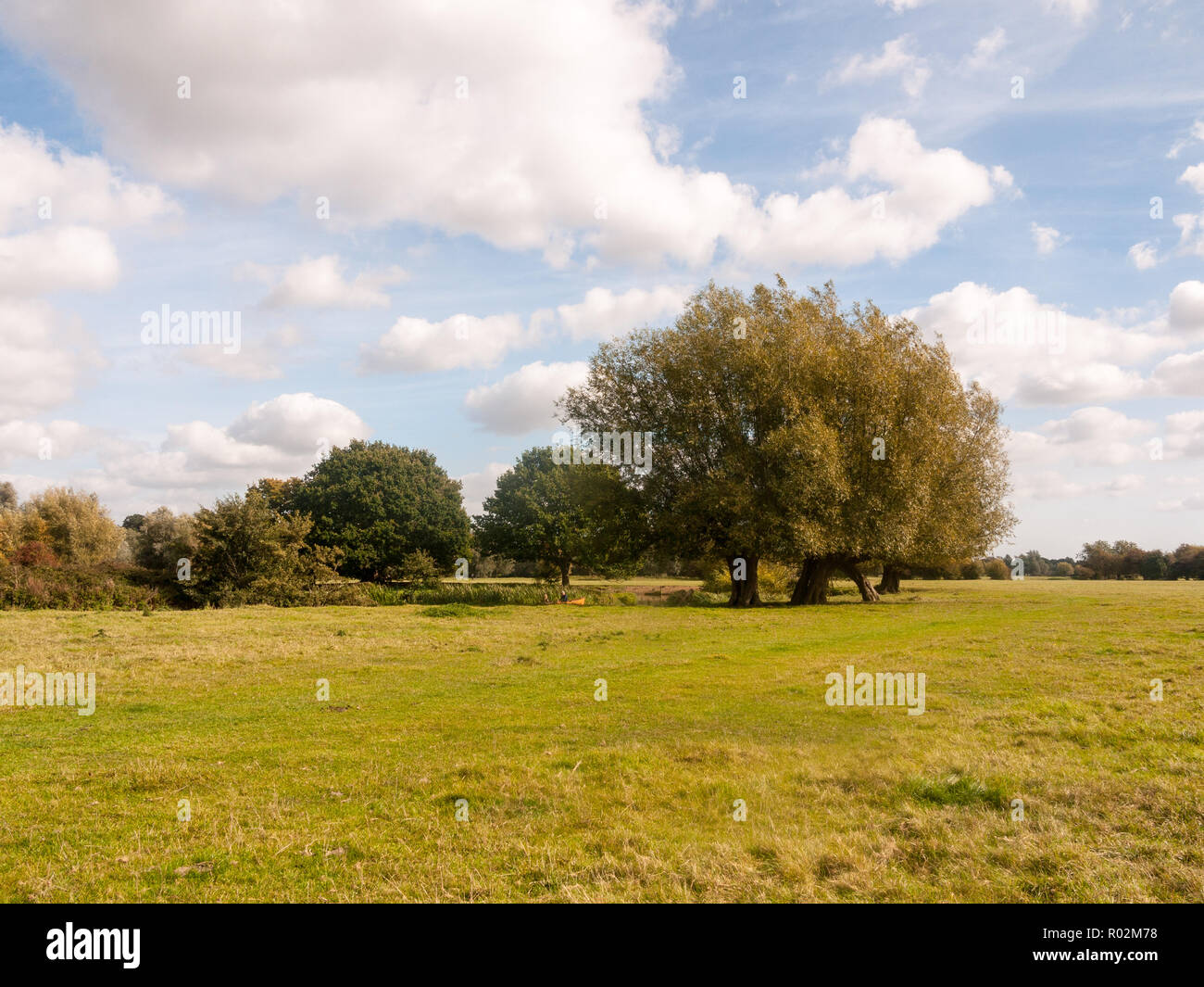 Dedham summer day special grassland greenery scene landscape nature ...
