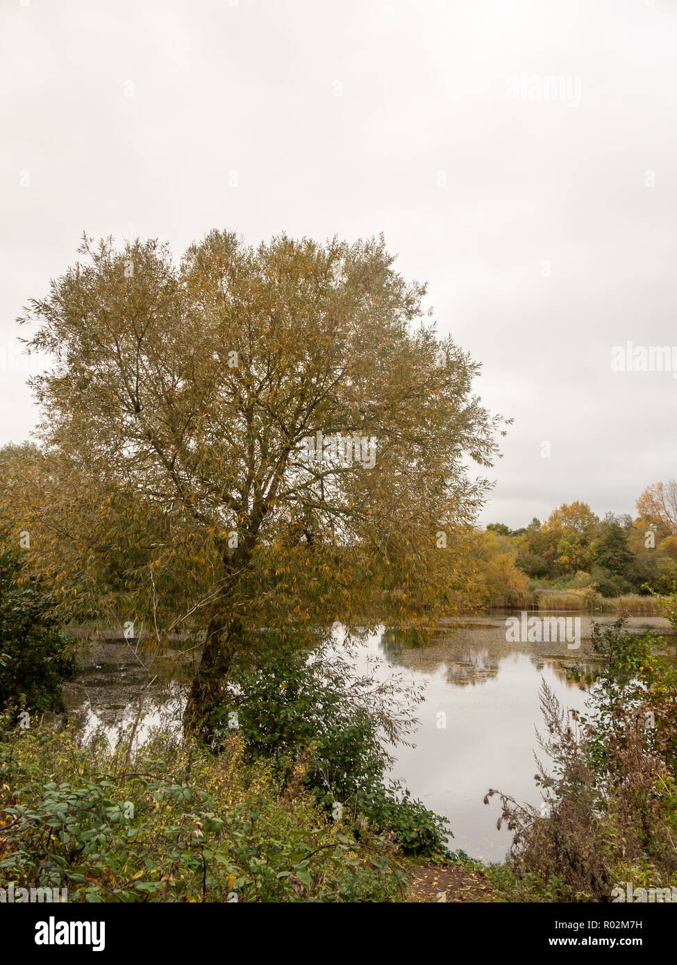 outside nature lake landscape autumn day water surface beautiful; Essex ...