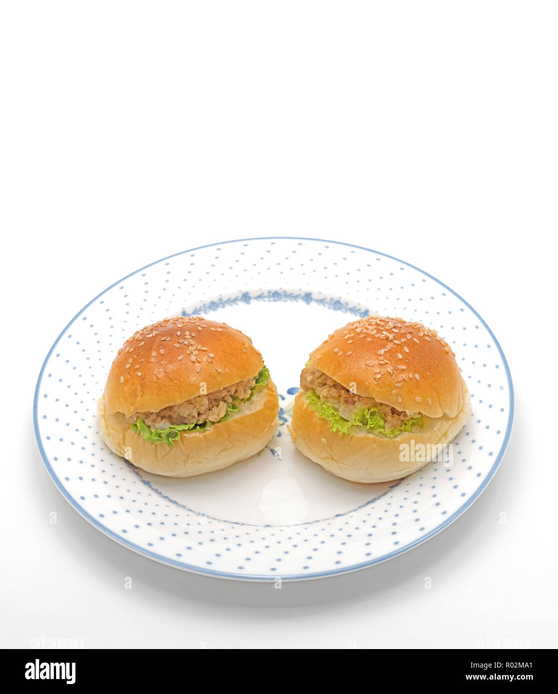Closeup Mini Tuna Burgers on Plate Isolated on White Background Stock ...