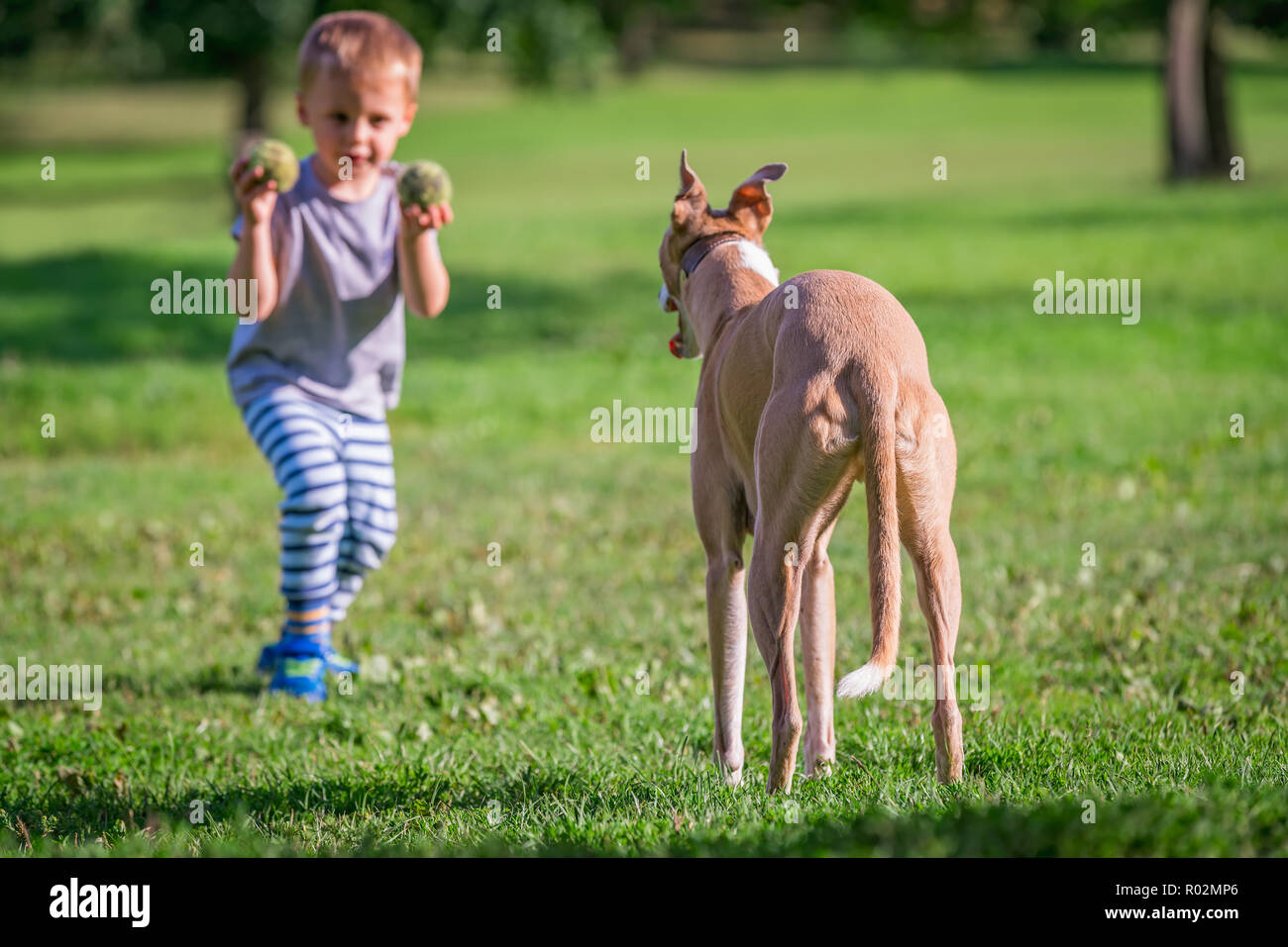 Kid throwing tennis balls hi-res stock photography and images - Alamy