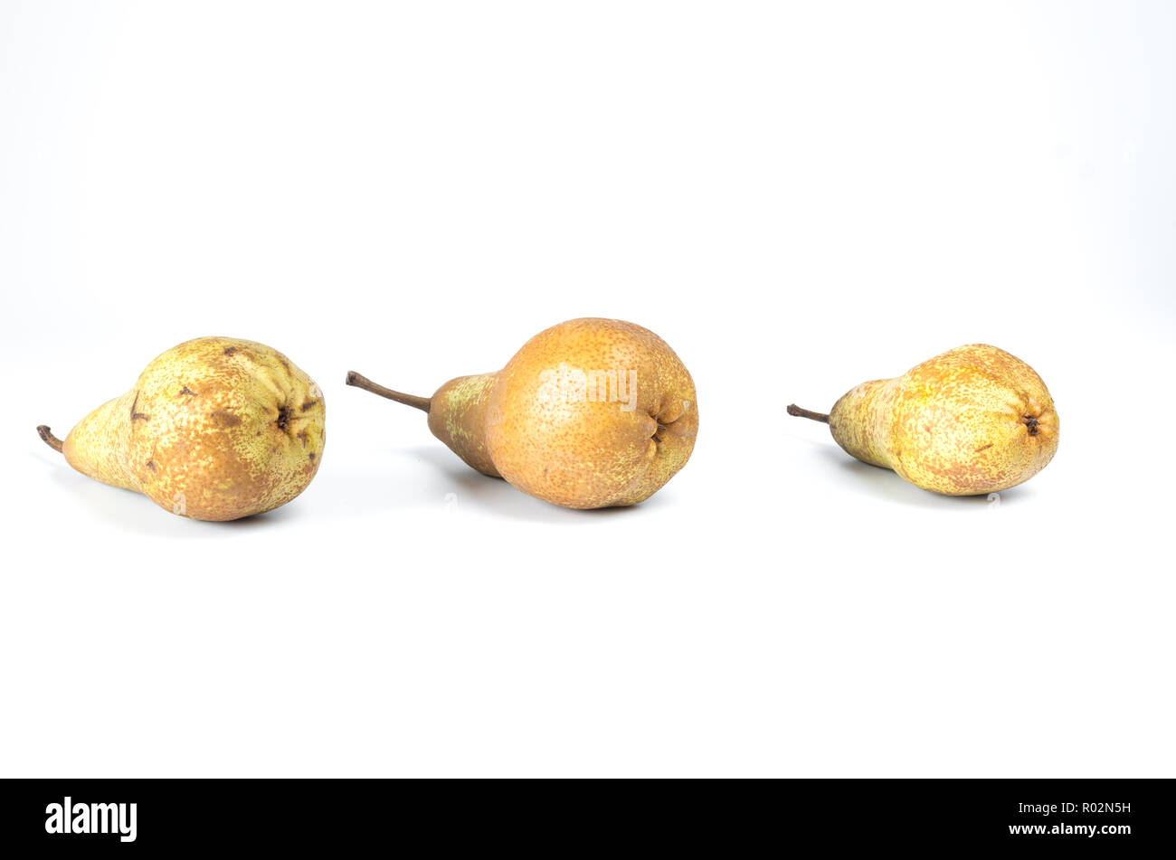 Inverted pears. The bottom view of the pear. Lined up in a row ...