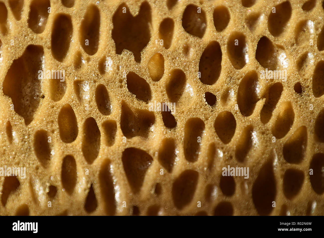 Porous Material Stock Photos & Porous Material Stock Images - Alamy