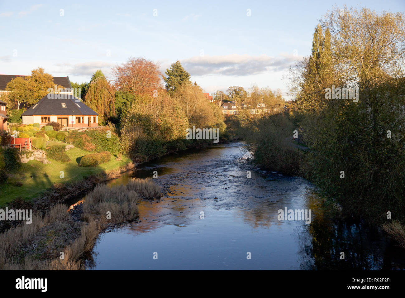 View across the River Teifi in Shropshire,UK Stock Photo - Alamy