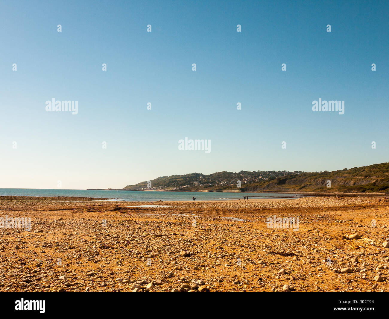 jurassic coast Charmouth dorset cliffs rocks landscape nature tourist ...