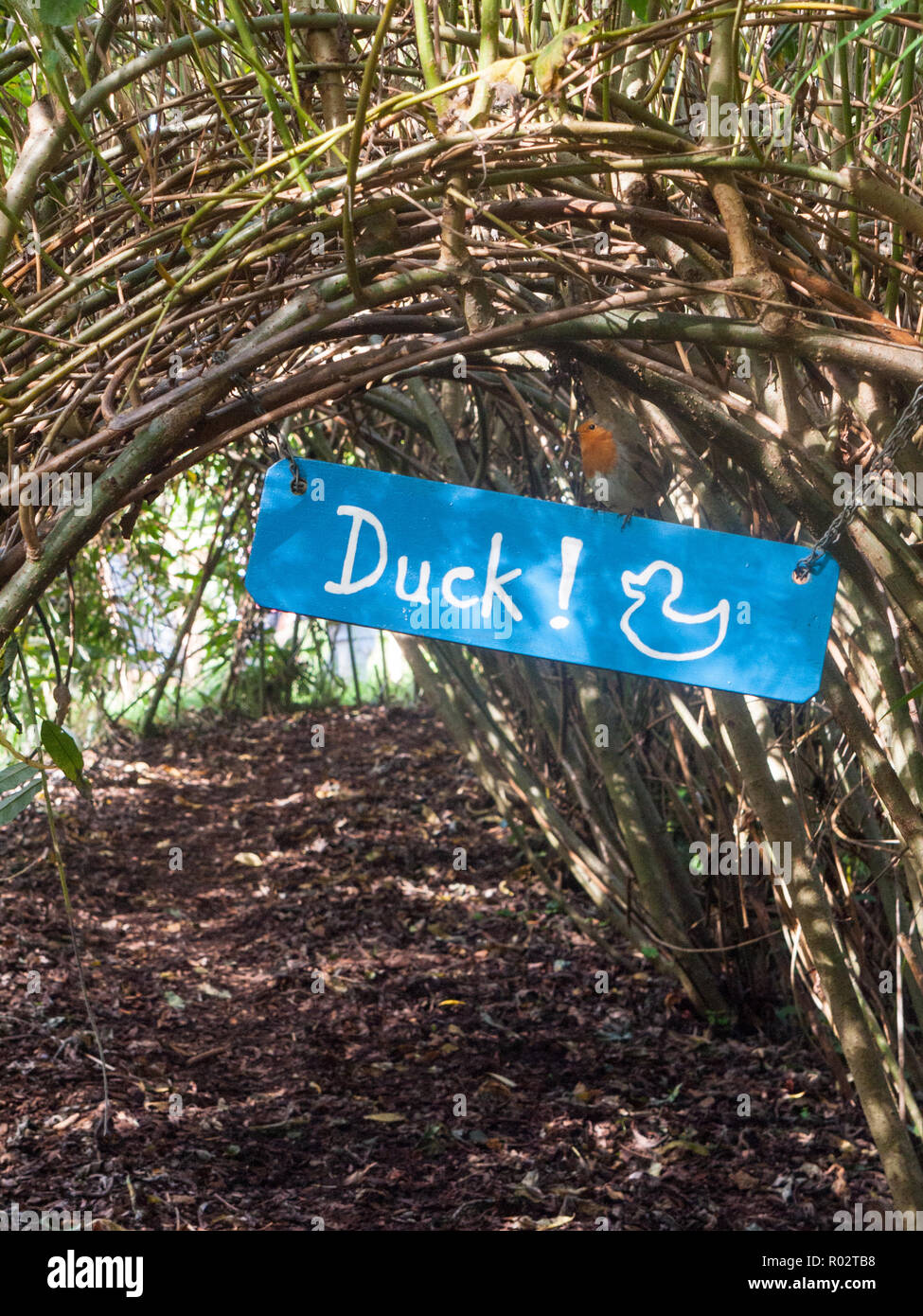 robin bird on a sign blue duck nature reserve dedham; Dedham; England ...