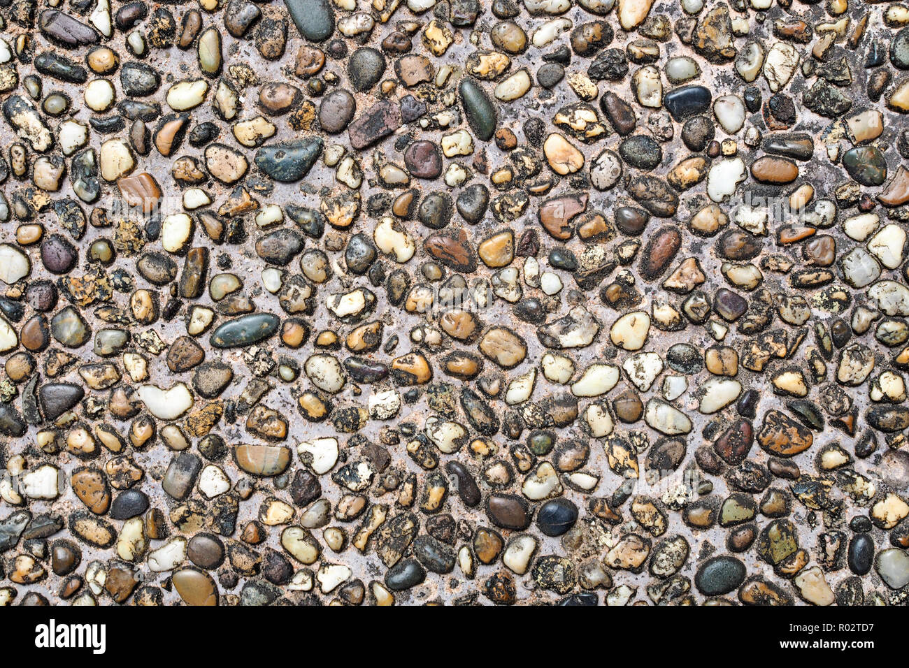 Colorful sea stone floor texture background Stock Photo - Alamy