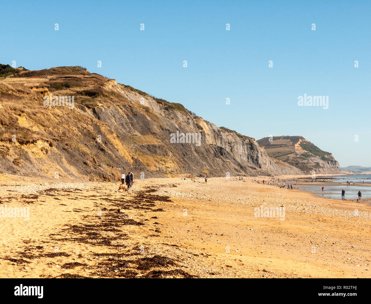 jurassic coast Charmouth dorset cliffs rocks landscape nature tourist ...