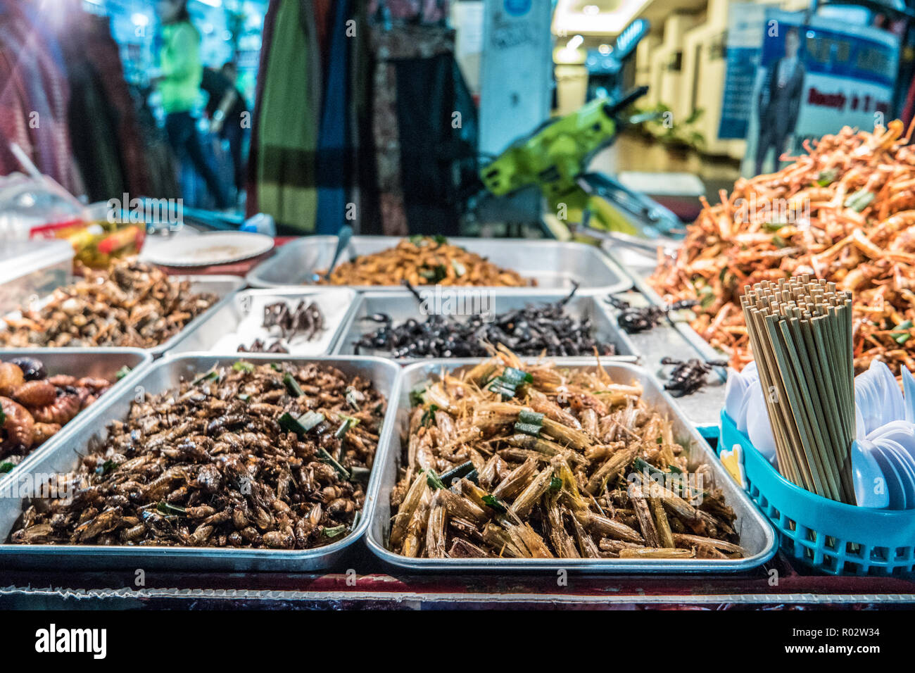Fried insects on the streets of Bangkok, Thailand Stock Photo - Alamy