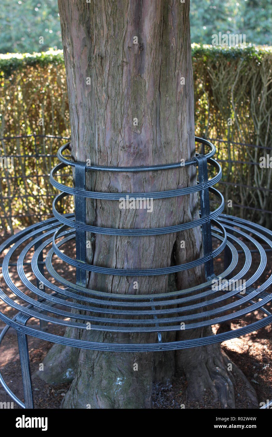 Traditional tree seat Stock Photo - Alamy