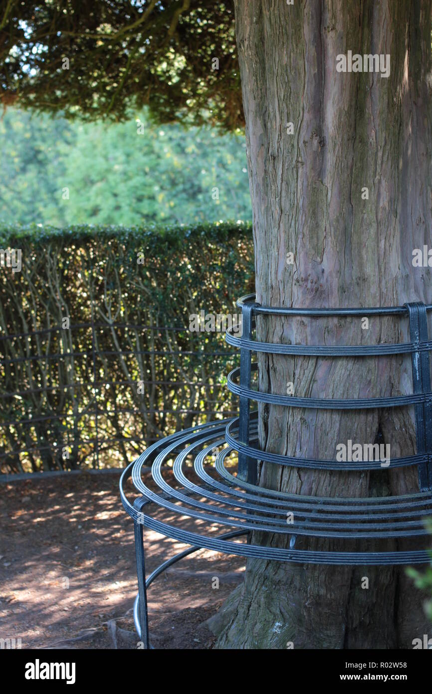 Traditional tree seat Stock Photo - Alamy