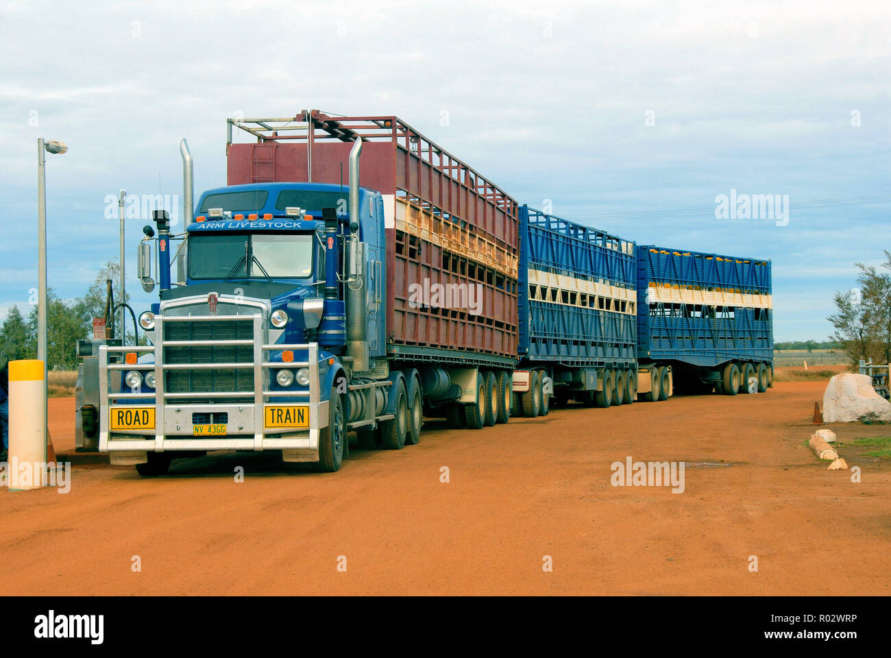 Cattle train australia hi-res stock photography and images - Alamy