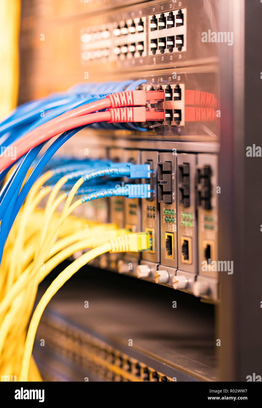 Fiber Optic cables connected to an optic ports and Network cables ...