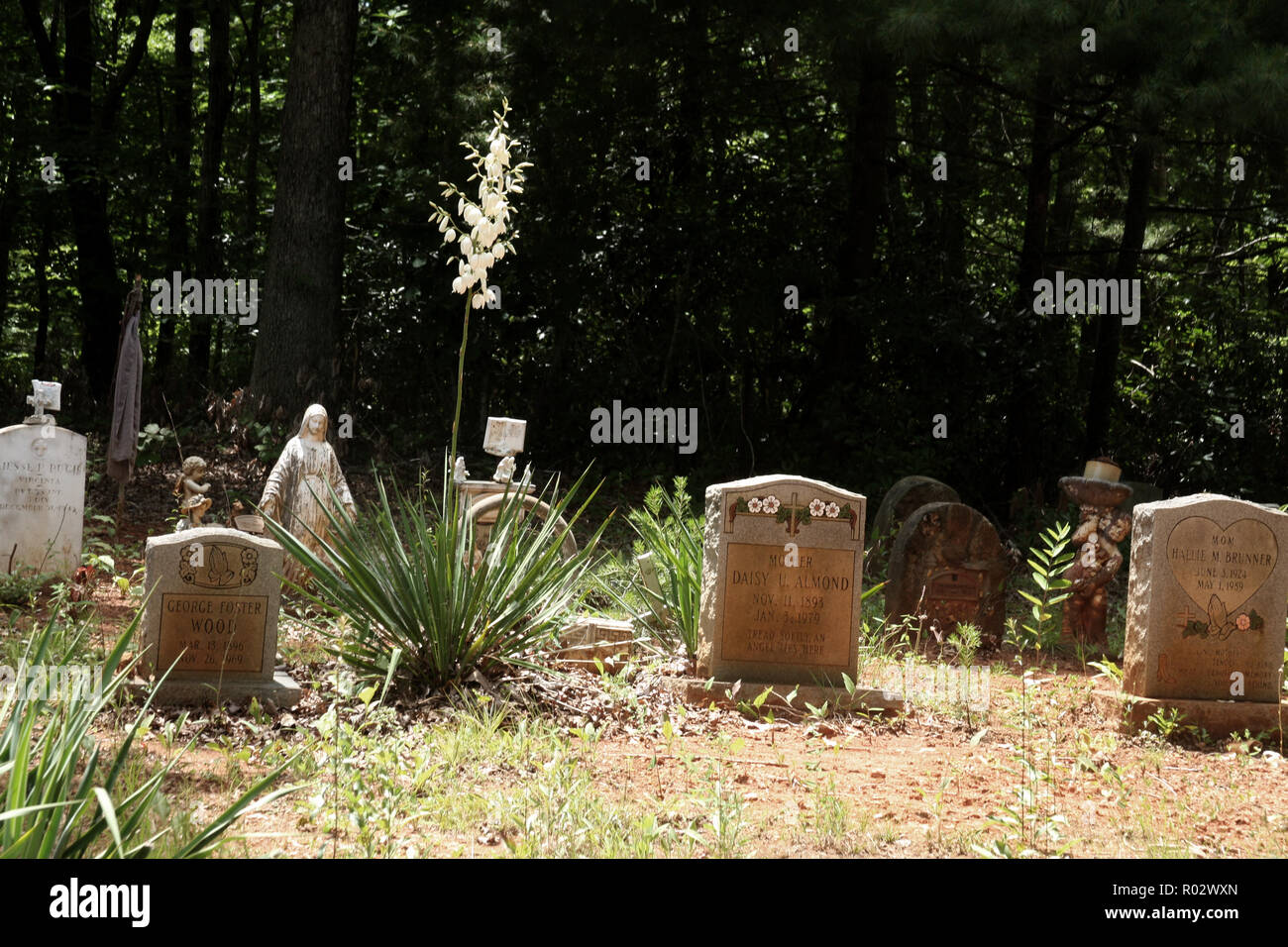 Small old graveyard in rural Virginia, USA Stock Photo - Alamy