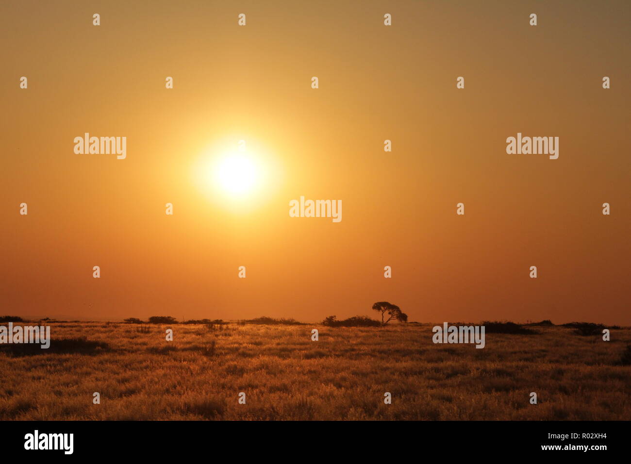 a red orange African desert sunset in Namibia Stock Photo - Alamy