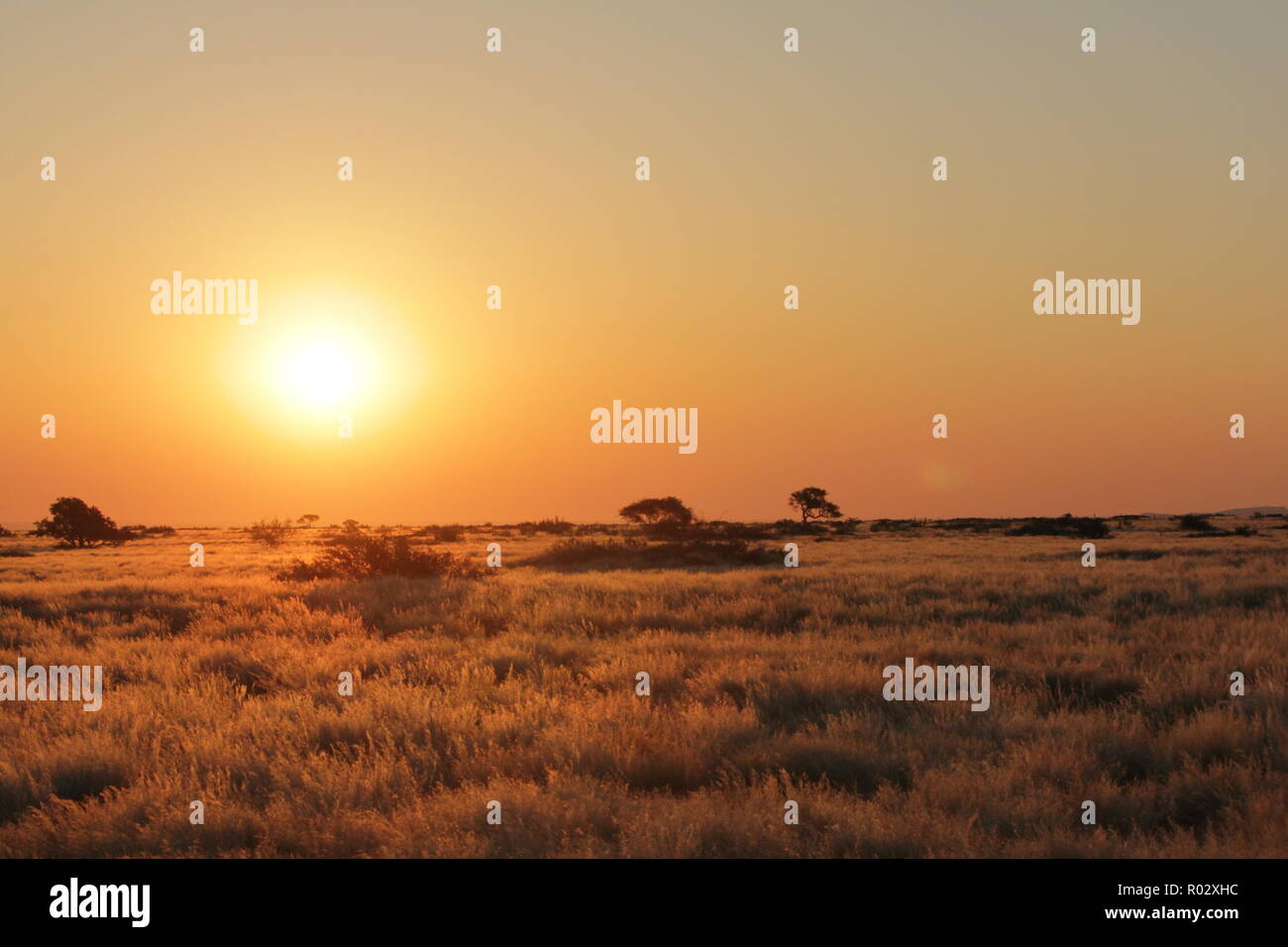 a red orange African desert sunset in Namibia Stock Photo - Alamy