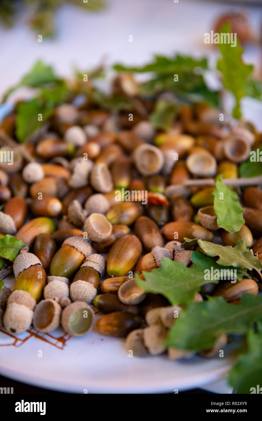 Natura fibre hi-res stock photography and images - Alamy