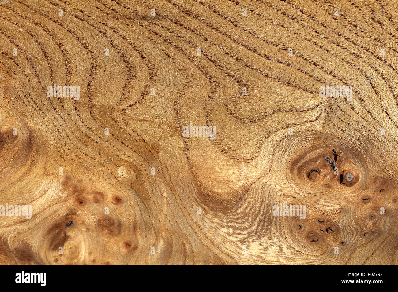 Knotty texture hi-res stock photography and images - Alamy