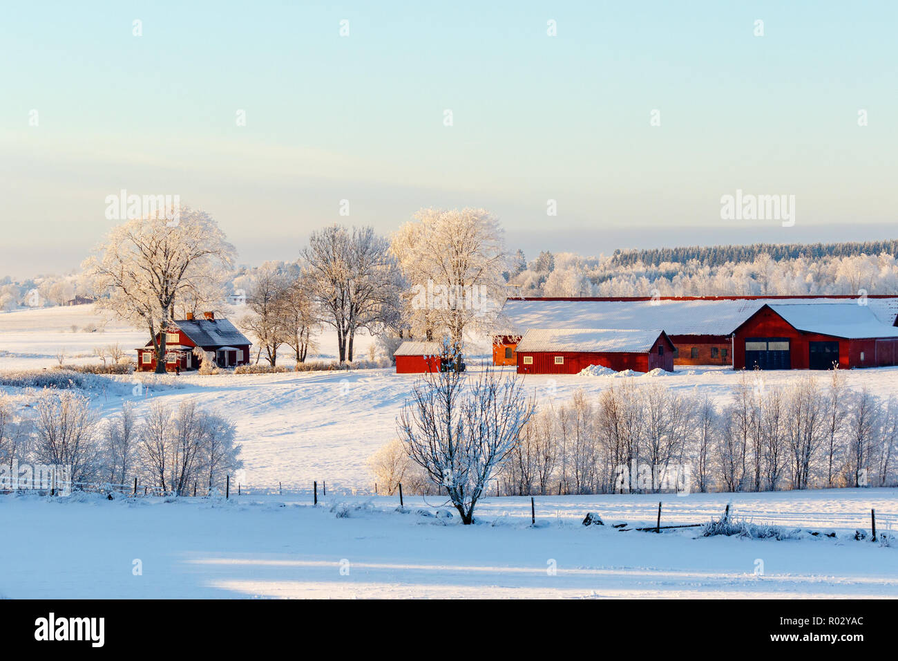 Farm in the countryside in a winter landscape Stock Photo - Alamy
