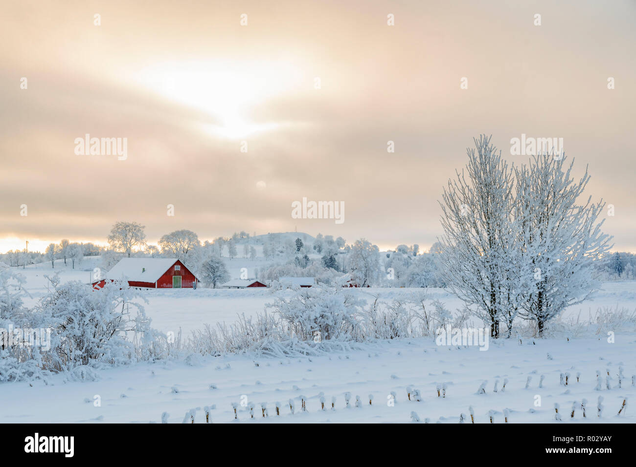 Farm in a rural winter landscape with snow and frost Stock Photo - Alamy