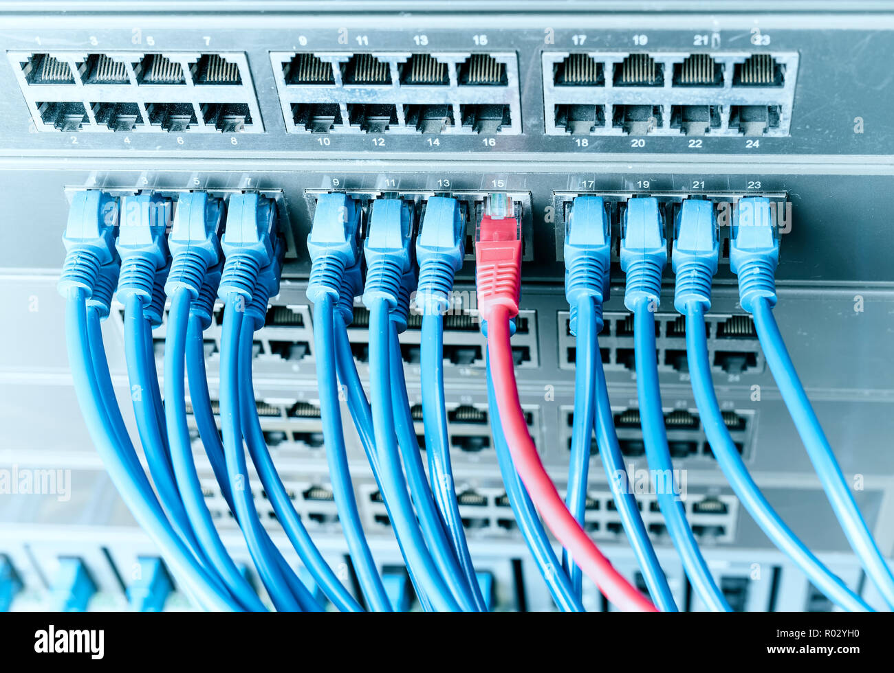 ethernet cable on network switches background Stock Photo - Alamy