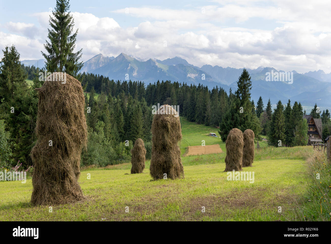 Mound of hay hi-res stock photography and images - Alamy