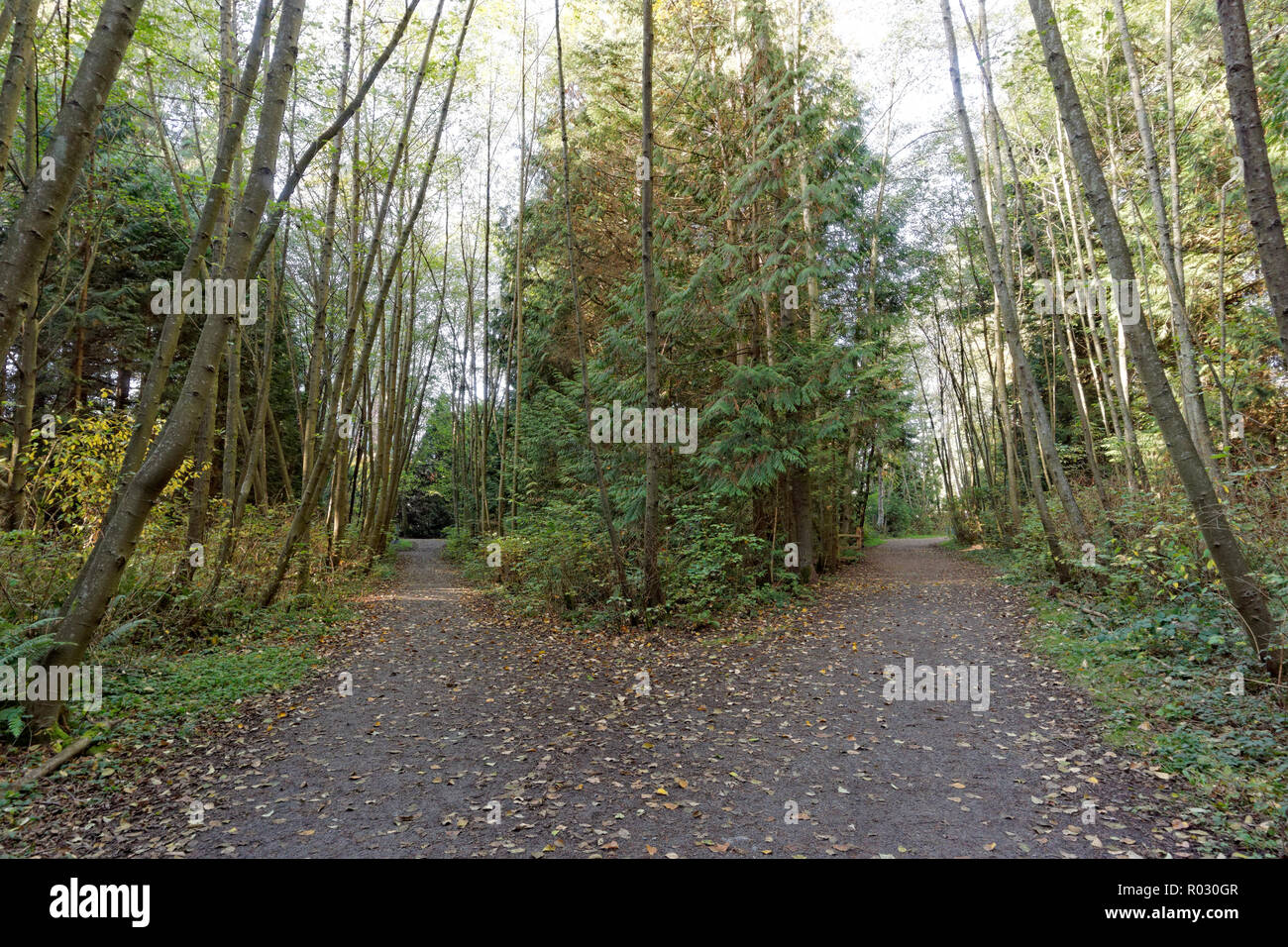 Divergence diverging paths hi-res stock photography and images - Alamy